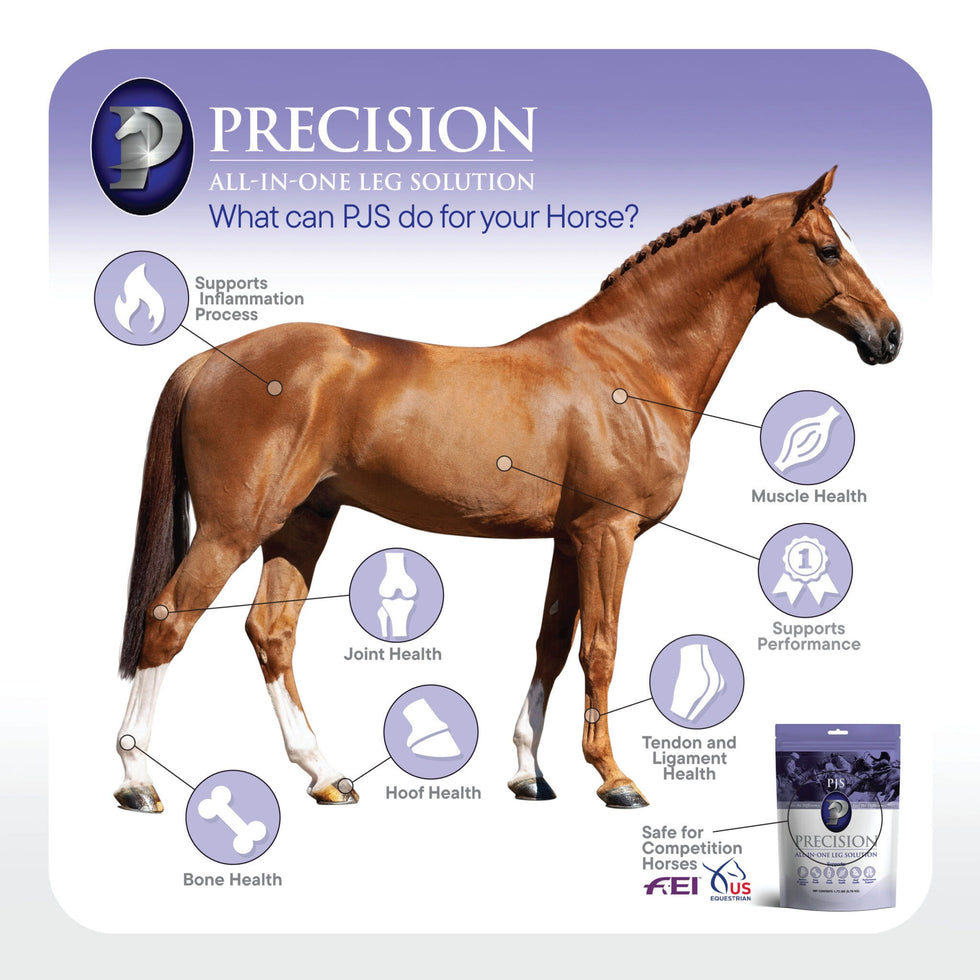 Equine Joint supplement PJS all in one leg solution – Precision Equine ...